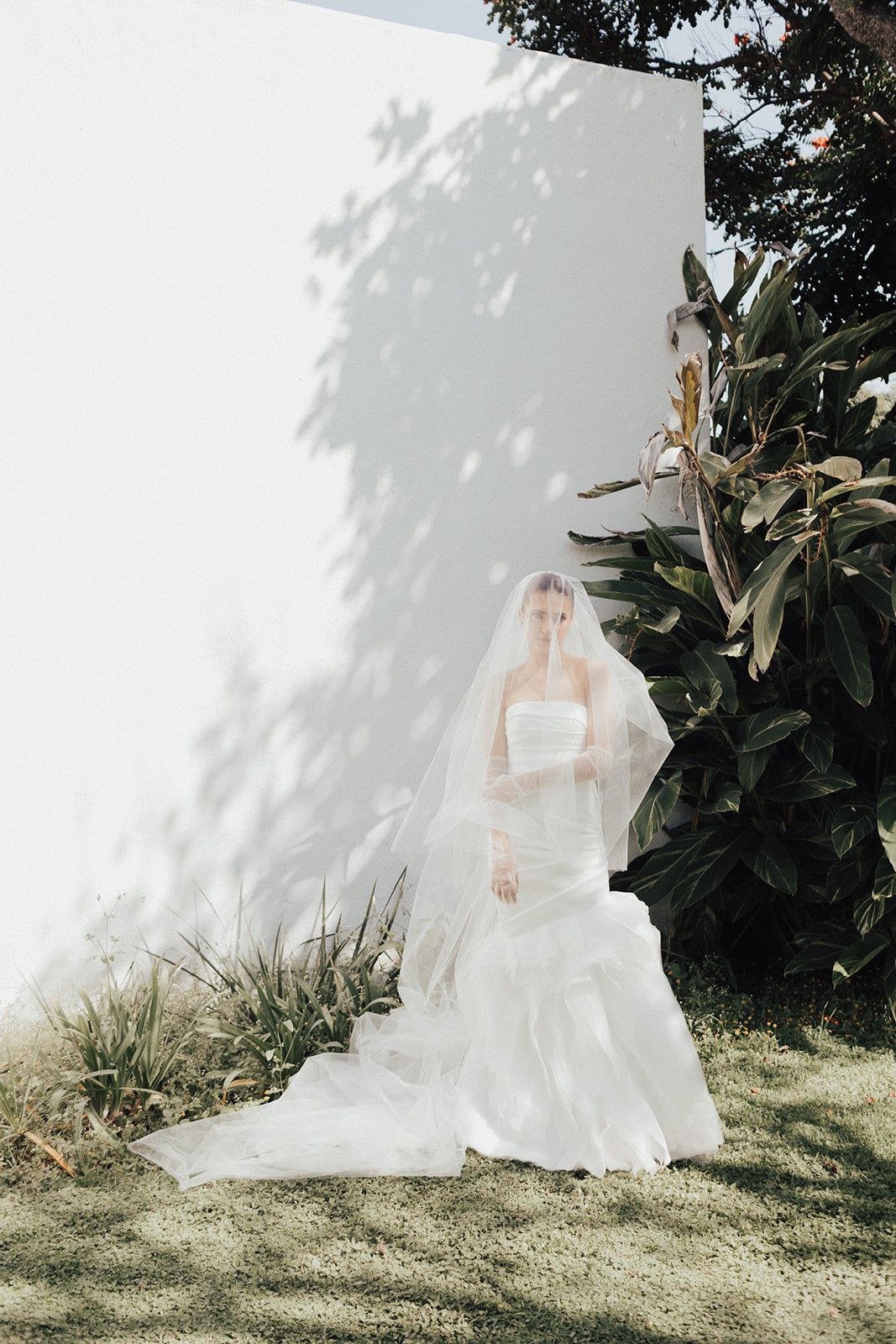 Velo Vero velado** – Lourdes Escanes